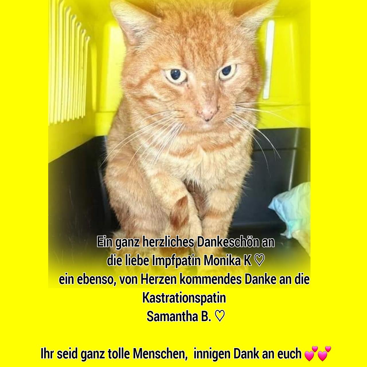 Rijko